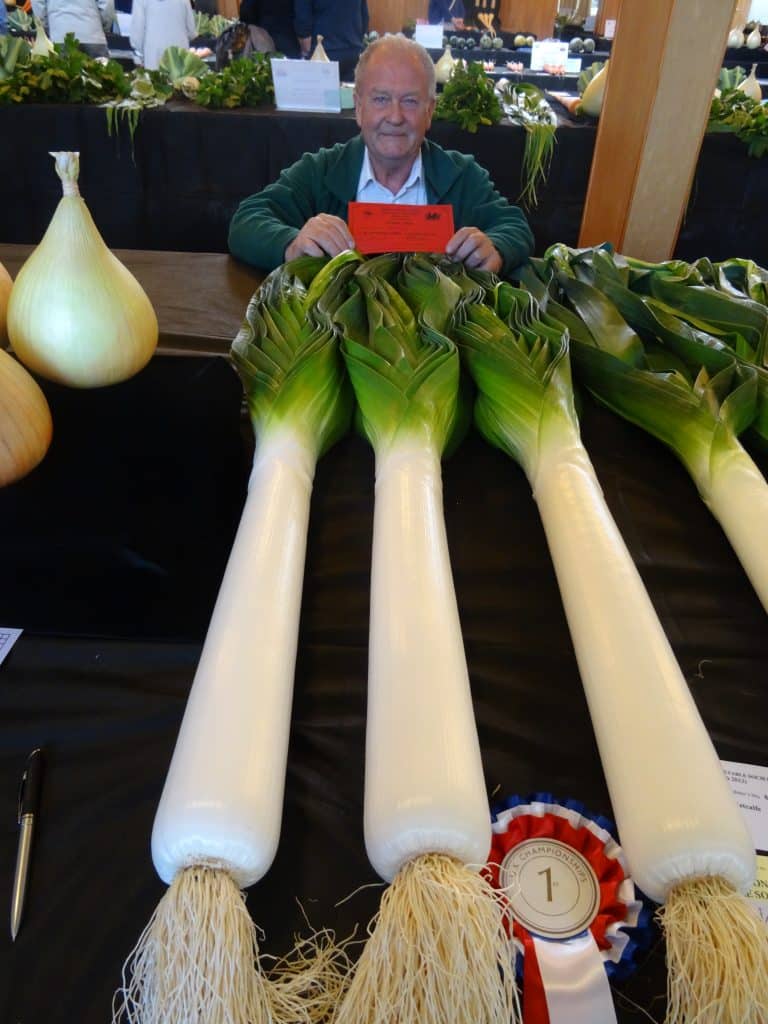 CERRIGYDRUDION Exclusive New Blanch Leek bred by Ivor Mace FNVS PREMIUM ...