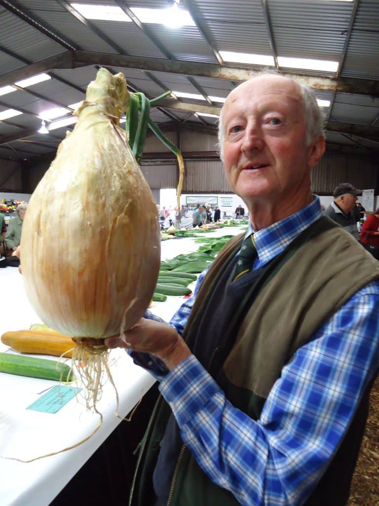 Leek and Onions in Pots for Collection Only - PETER GLAZEBROOK WORLD ...